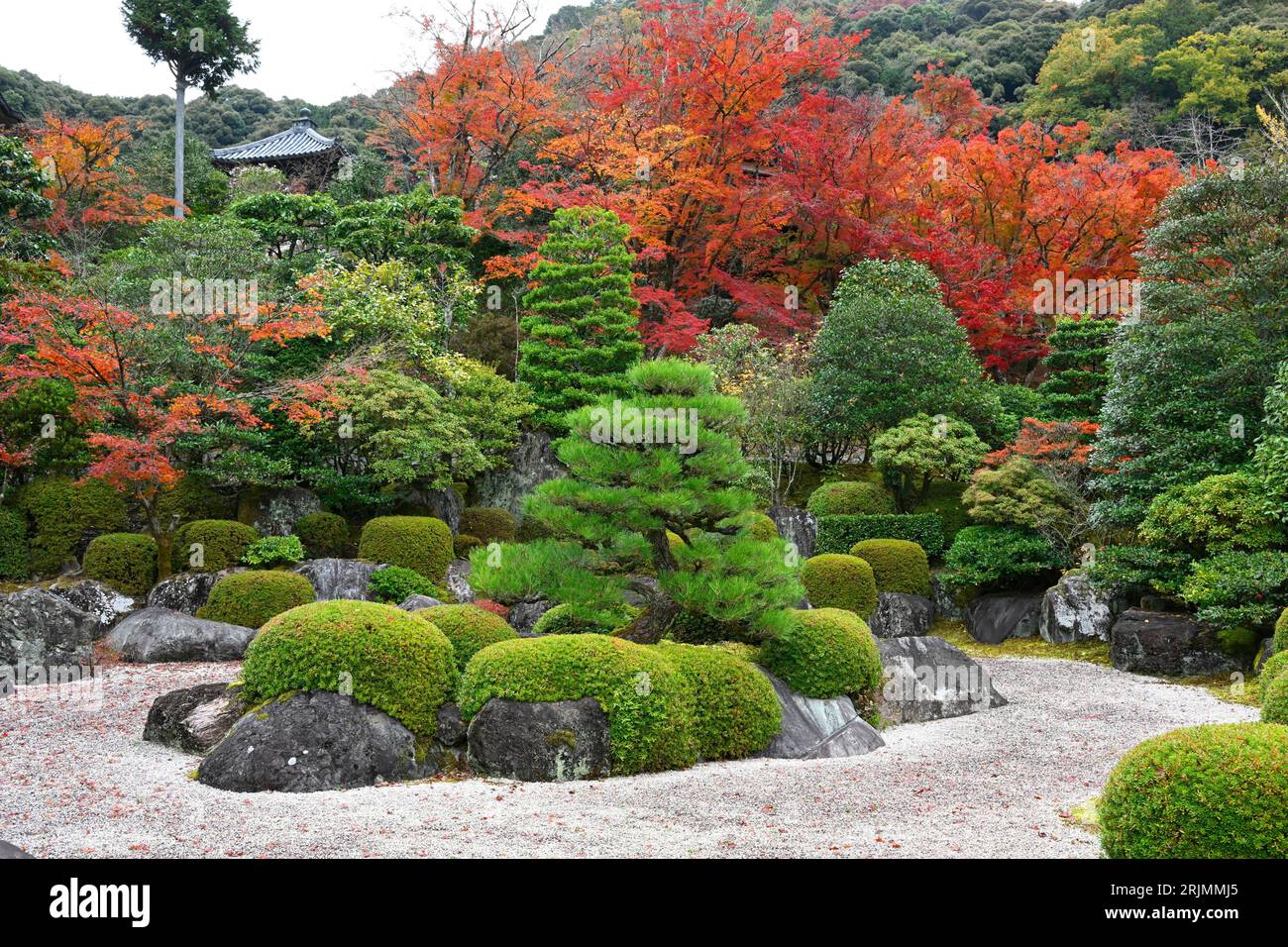 Japanese tree and temple hi-res stock photography and images - Alamy