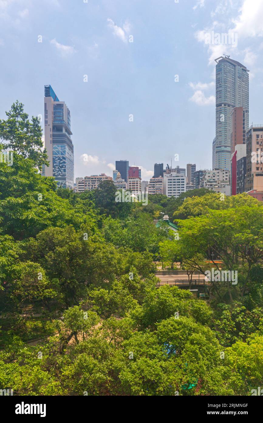 Green Oasis Trees in Kowloon Park Hong Kong Spring Day Aerial View ...