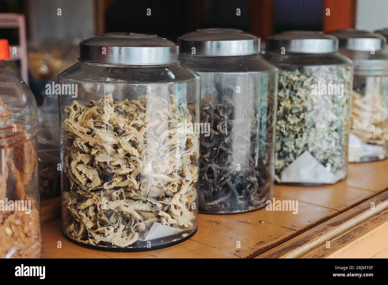 Synbranchidae hi-res stock photography and images - Alamy