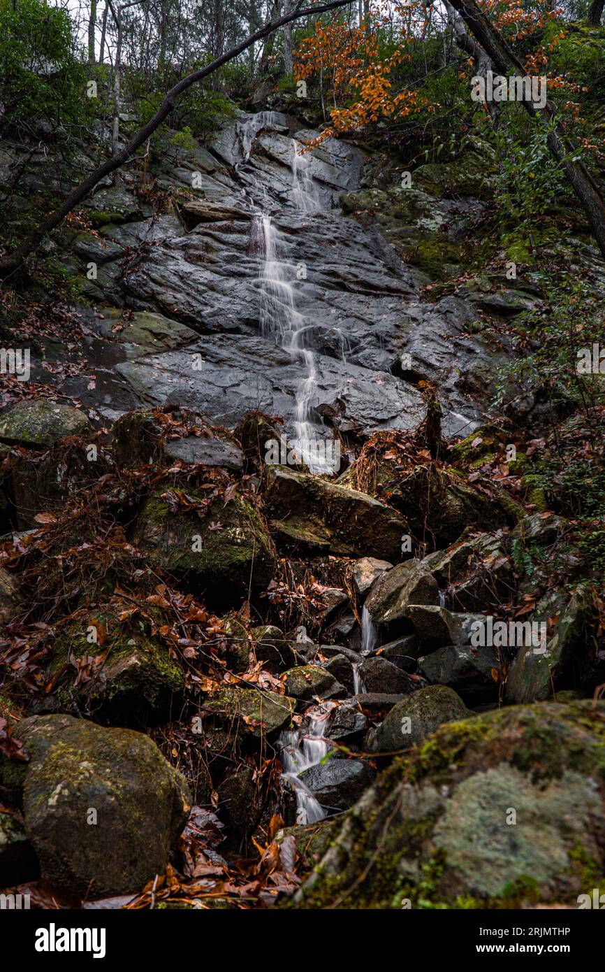 A tranquil outdoor scene featuring a small cascading waterfall in a ...