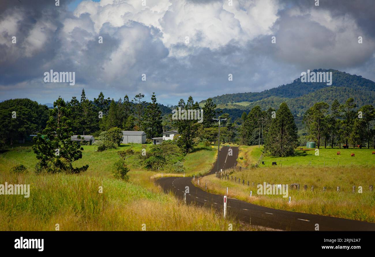 A scenic road in the Tablelands Region in Far North Queensland ...