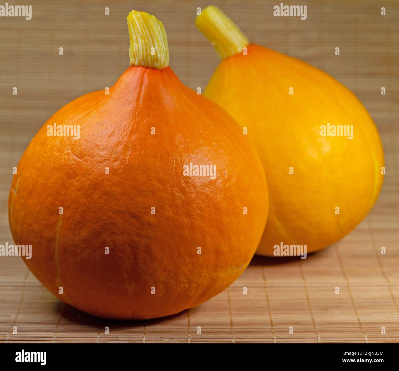 Hokkaido squash, Cucurbita maxima, in a close-up Stock Photo - Alamy