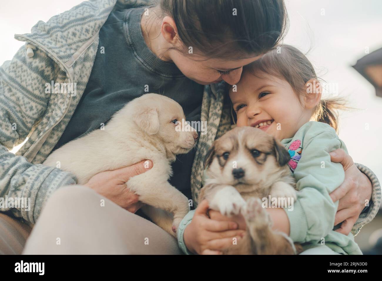 Beautiful happy family having fun with puppy dogs outdoors in the ...