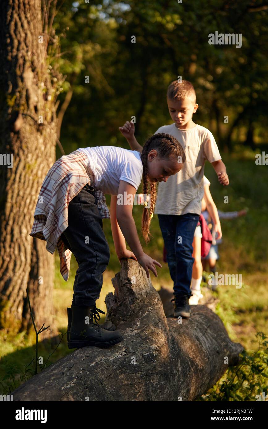 Little kids playing in forest on sunny day, standing on stones, having ...