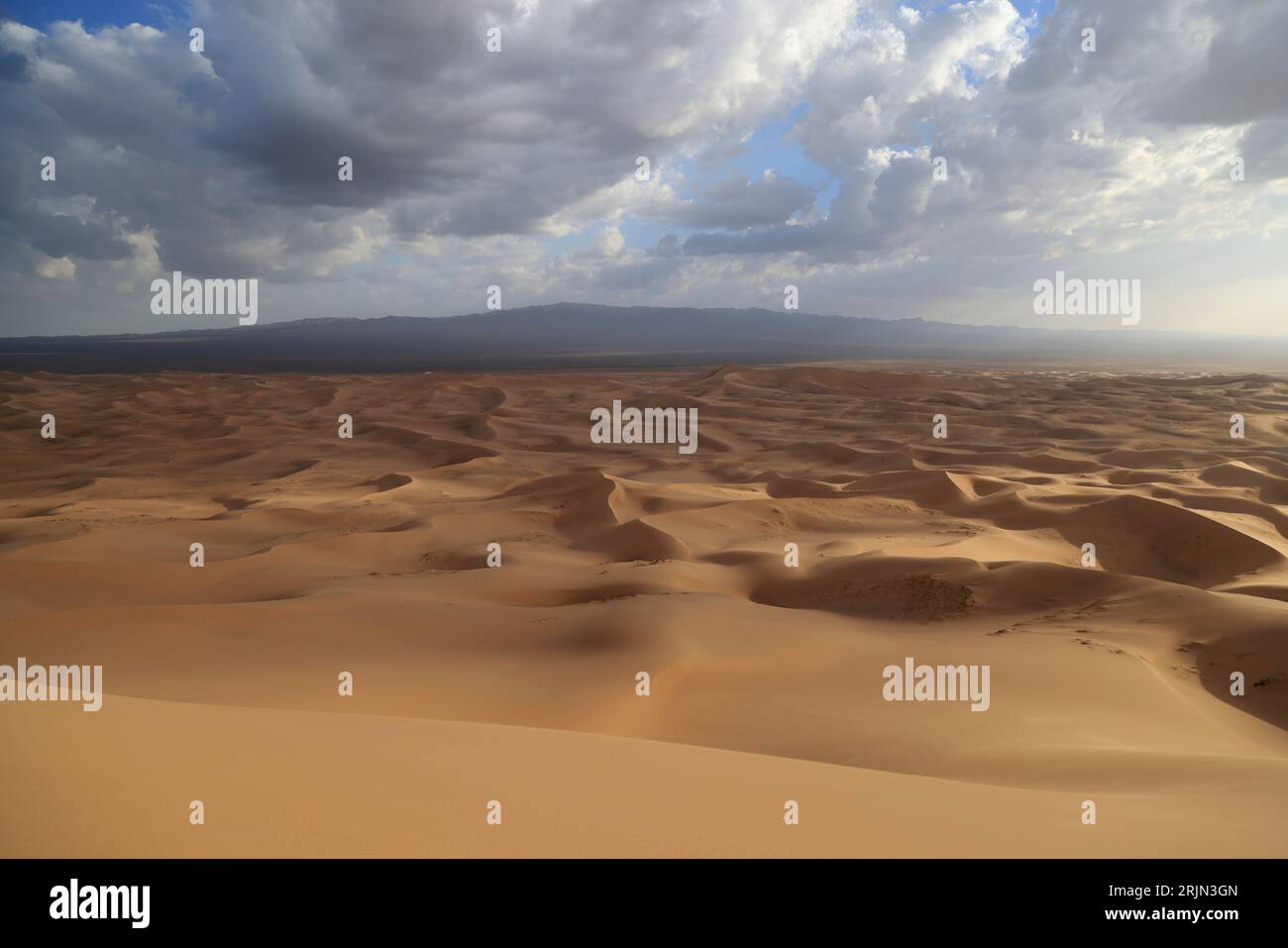 Khongoryn Els dunes at sunset, Gobi desert Stock Photo - Alamy