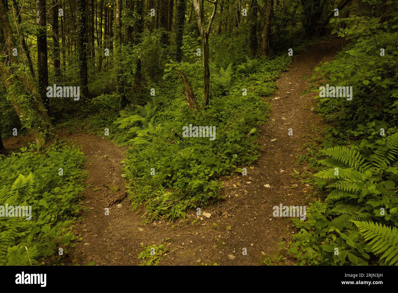 Pathways winding hi-res stock photography and images - Alamy