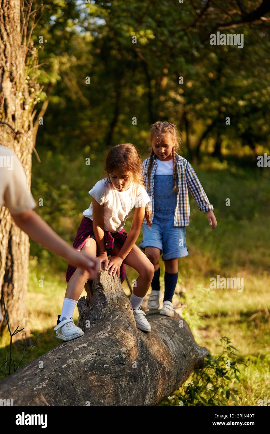 Little kids playing in forest on sunny day, standing on stones, having ...