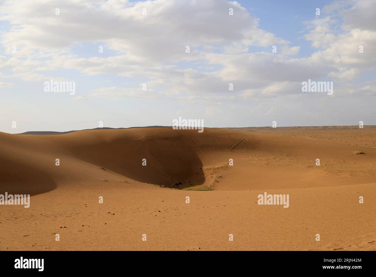 Khongoryn Els dunes at sunset, Gobi desert Stock Photo - Alamy