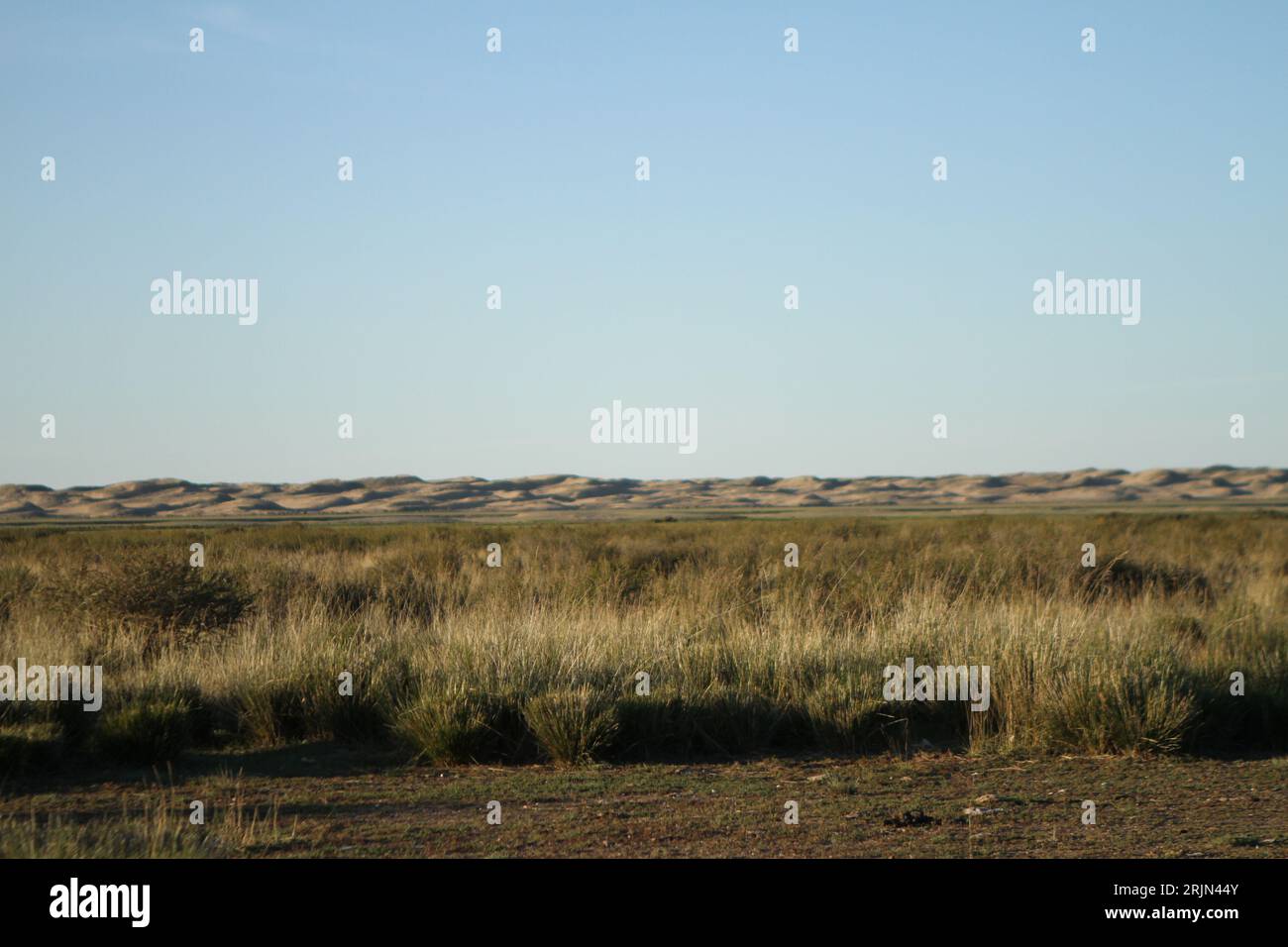 A barren landscape in the desert featuring sand dunes and patches of ...