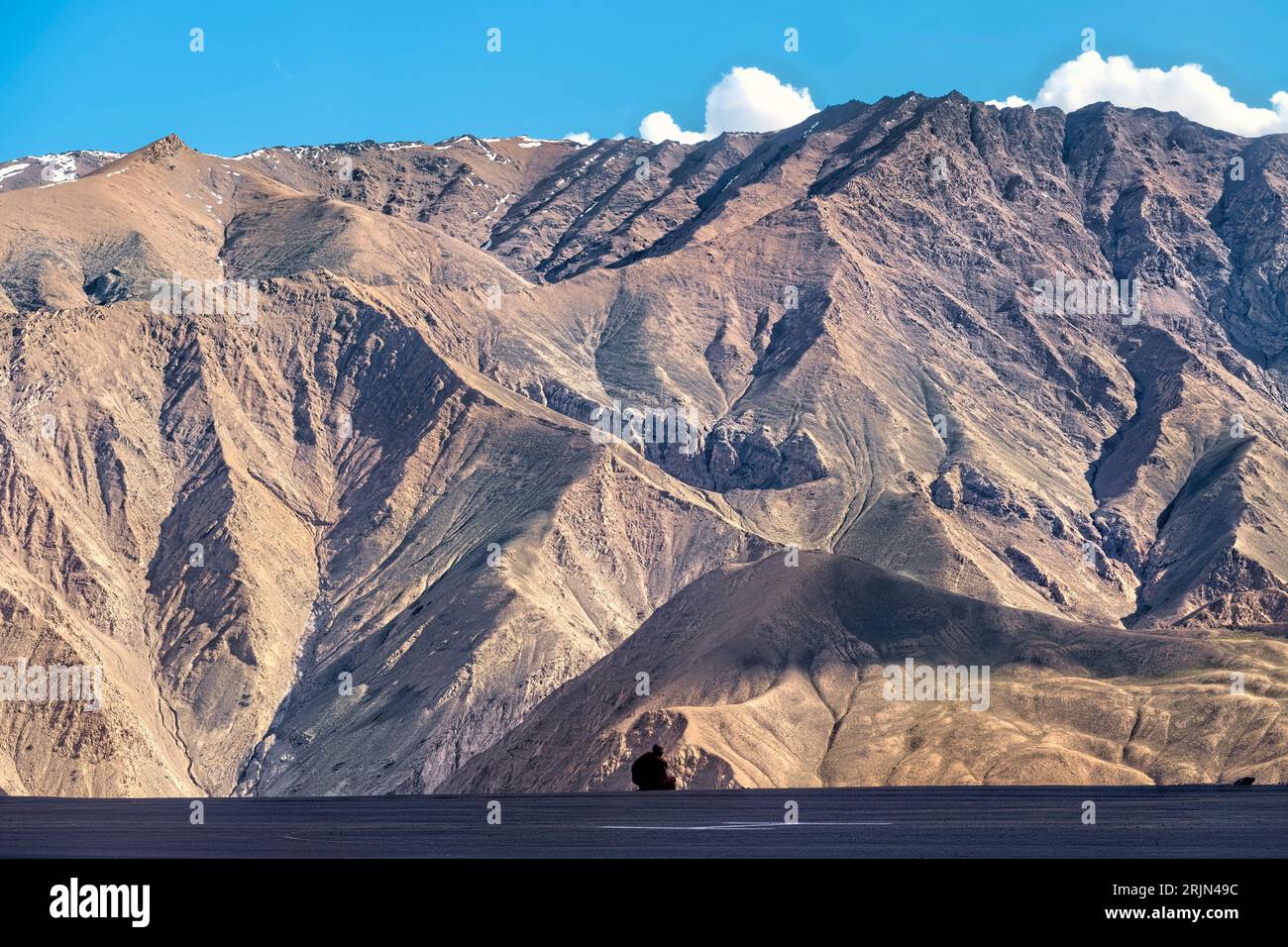 Monk under the mountain, Lingshed, Zanskar, Ladakh, India Stock Photo ...