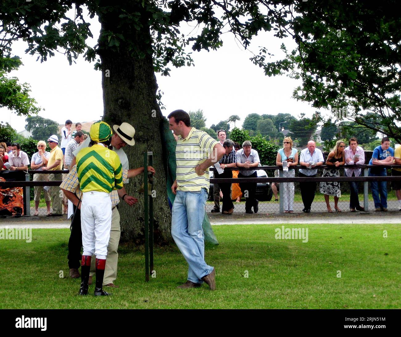 Sligo horse hi-res stock photography and images - Alamy