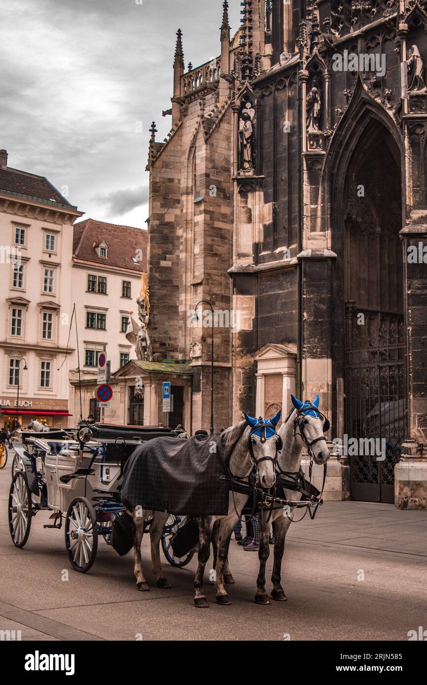 Carriage classic hi-res stock photography and images - Alamy