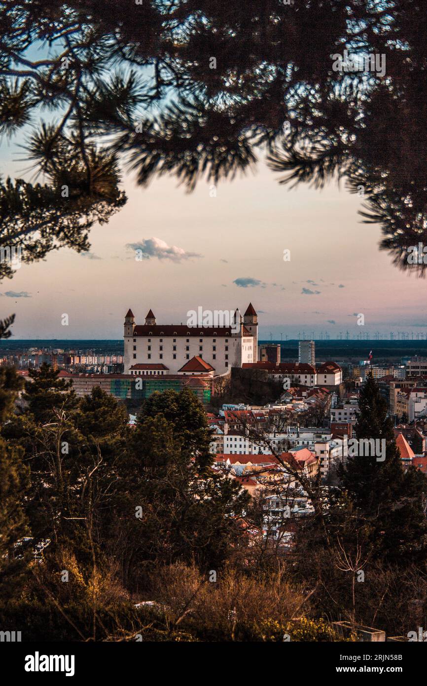 A scenic view from a hilltop of a bustling city with many high-rise ...