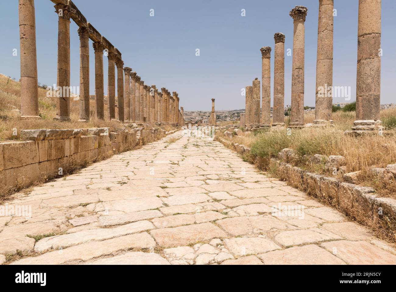 The cardo maximus, the main or central north–south-oriented street in ...
