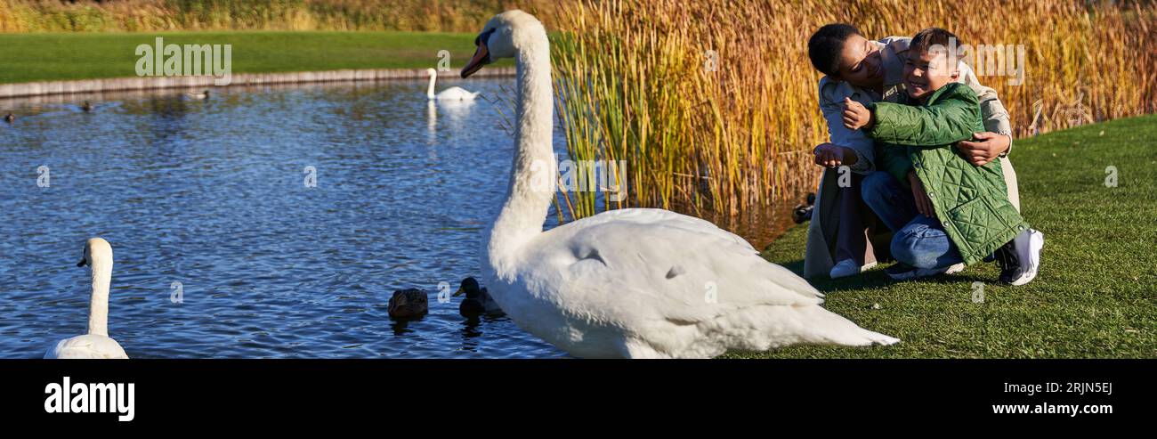 bonding, cheerful african american woman hugging boy, white swans in ...