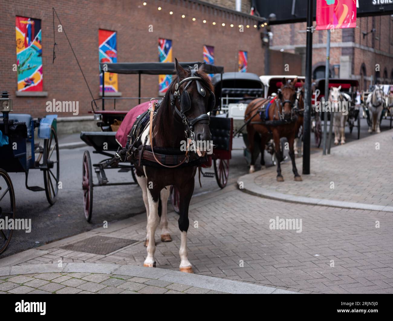 Guinness factory hi-res stock photography and images - Alamy