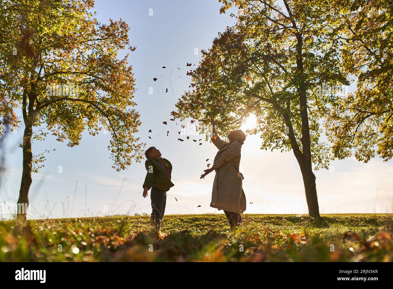 silhouette of mother and child throwing autumn leaves, park, fall ...