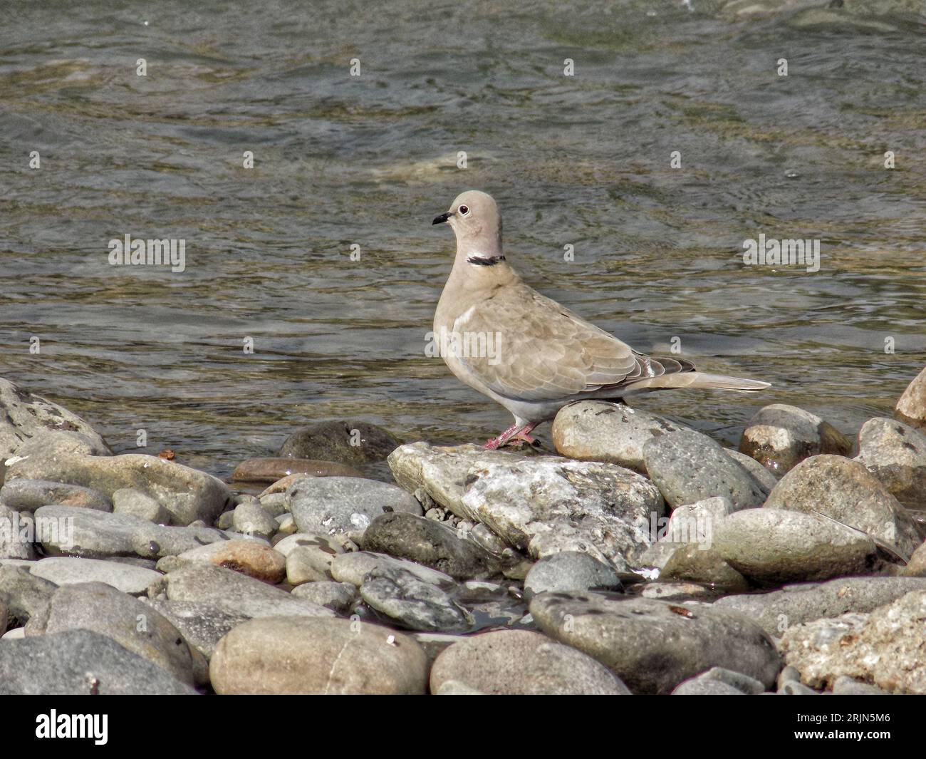 Dove stones lake hi-res stock photography and images - Alamy
