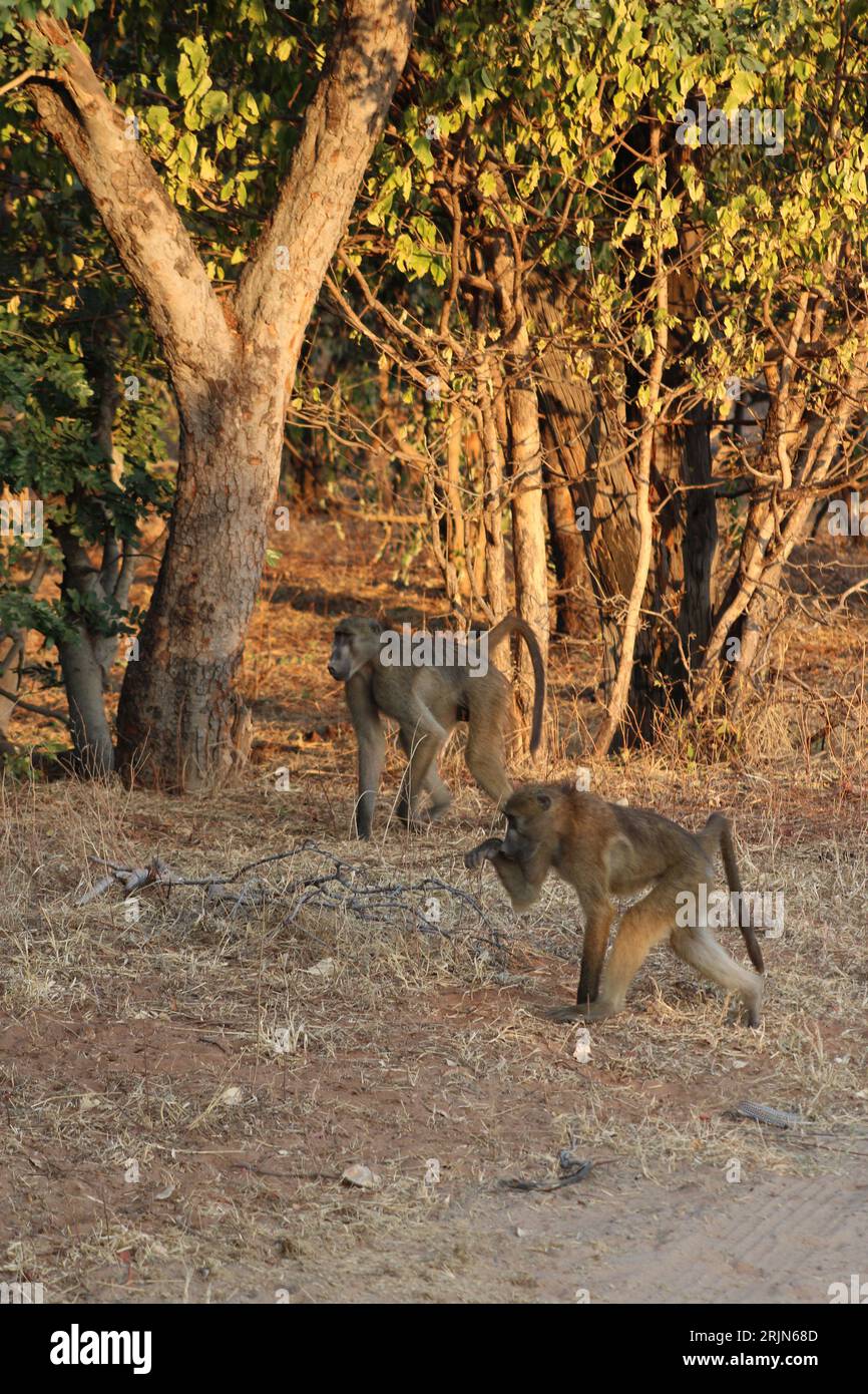 Explorefulness hi-res stock photography and images - Alamy