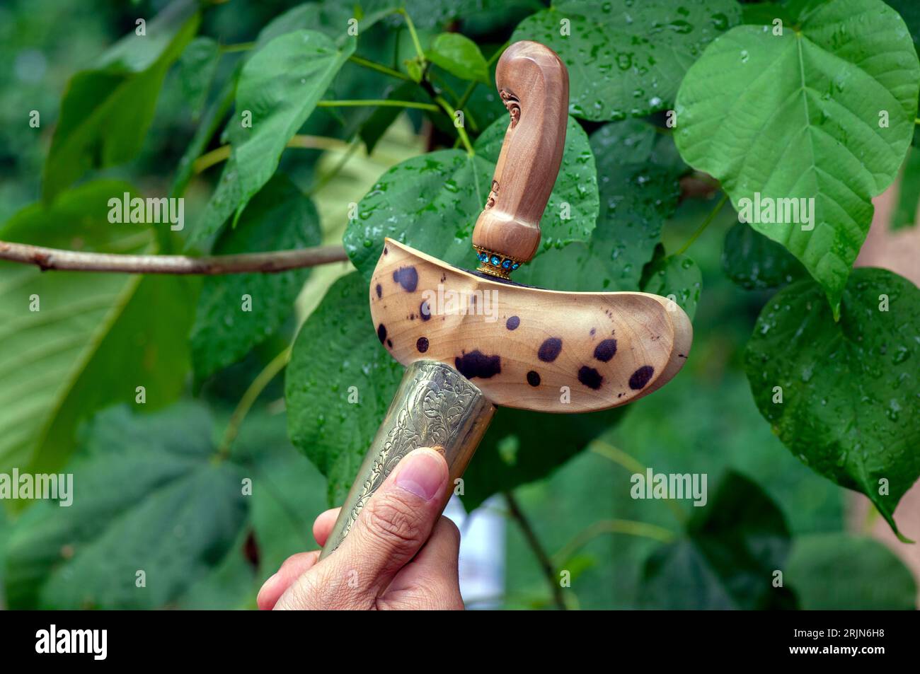 Keris, kris, ceremonial knife, asymmetrical dagger sheath from the Java ...