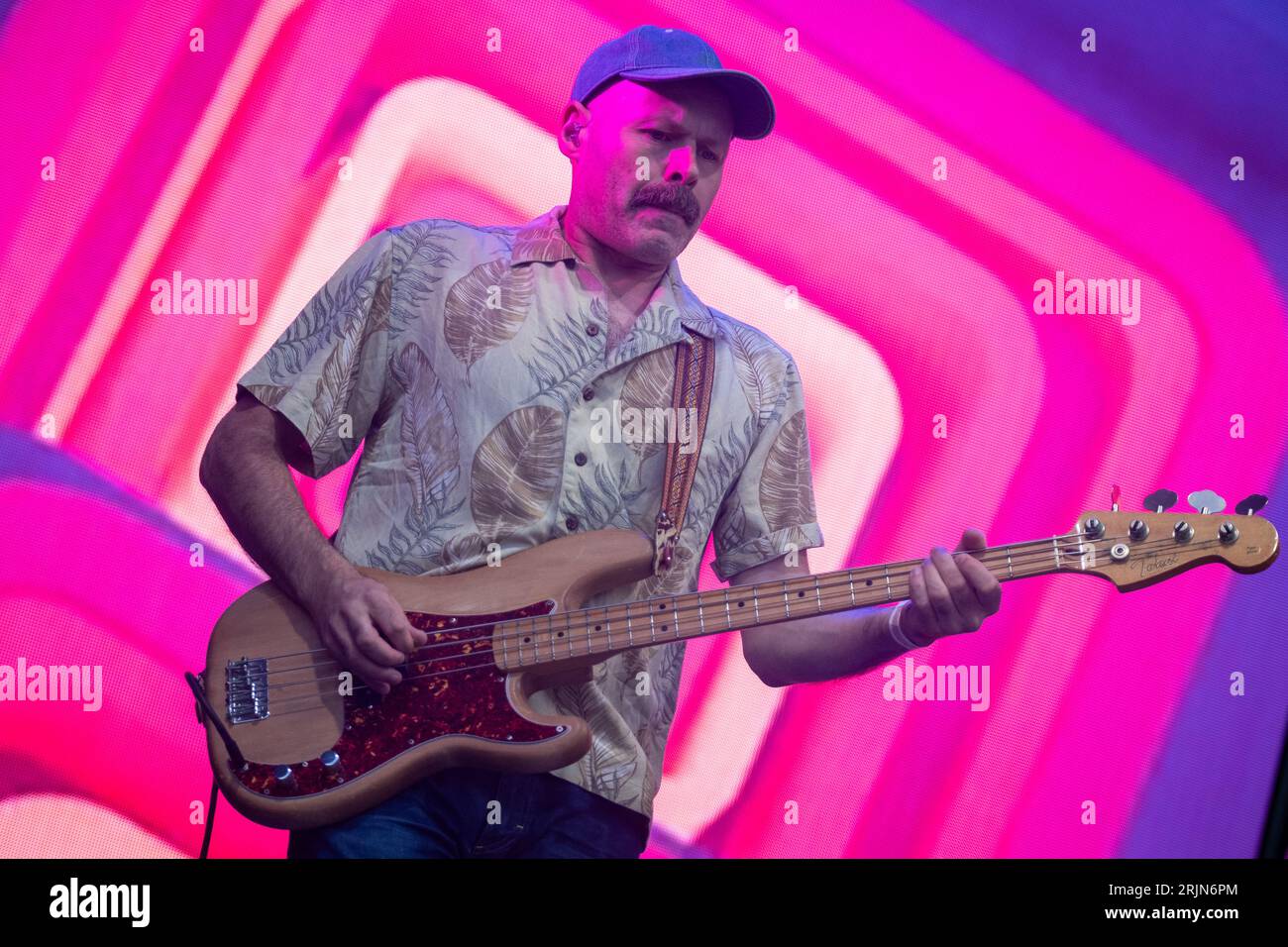 Dave mcgowan bass hi-res stock photography and images - Alamy