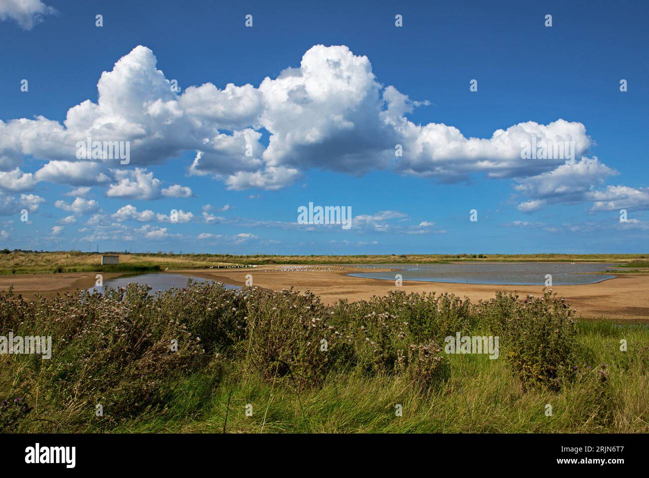 Kilnsea Wetlands,Holderness,East Yorkshire, England UK Stock Photo - Alamy