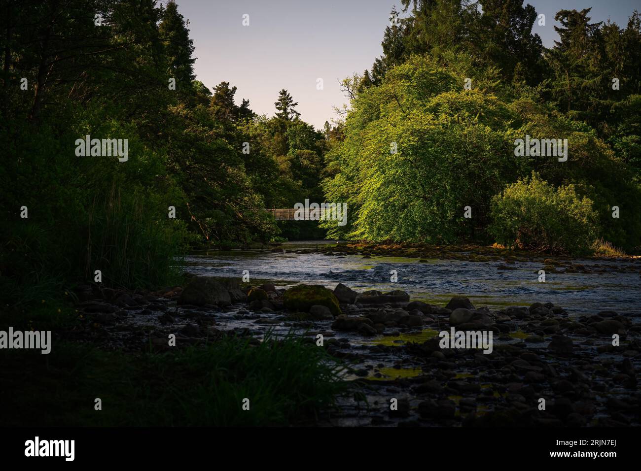 The river Ness with lush greenery on the banks rocks in the river and a ...