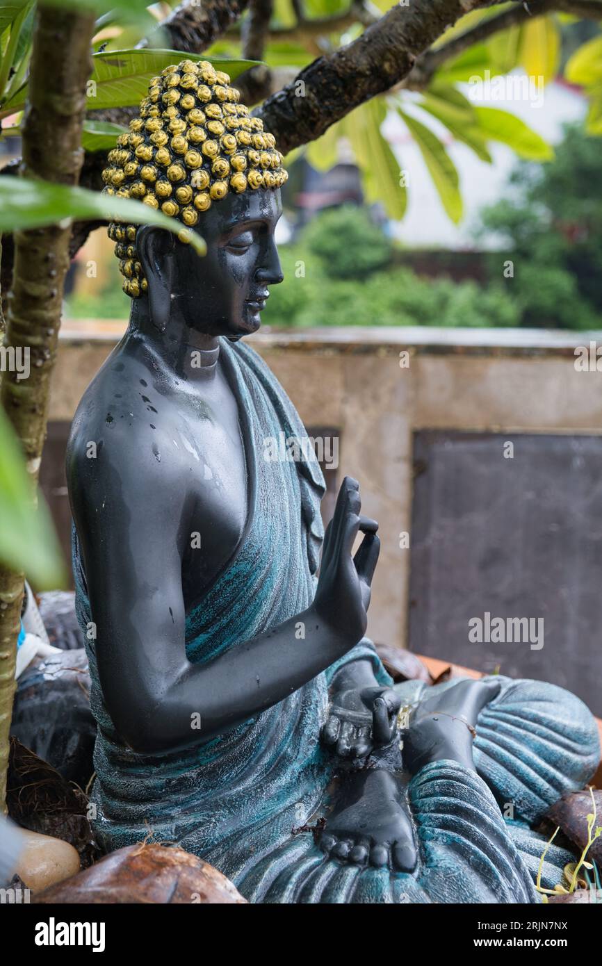Buddha sitting under tree statue hi-res stock photography and images ...