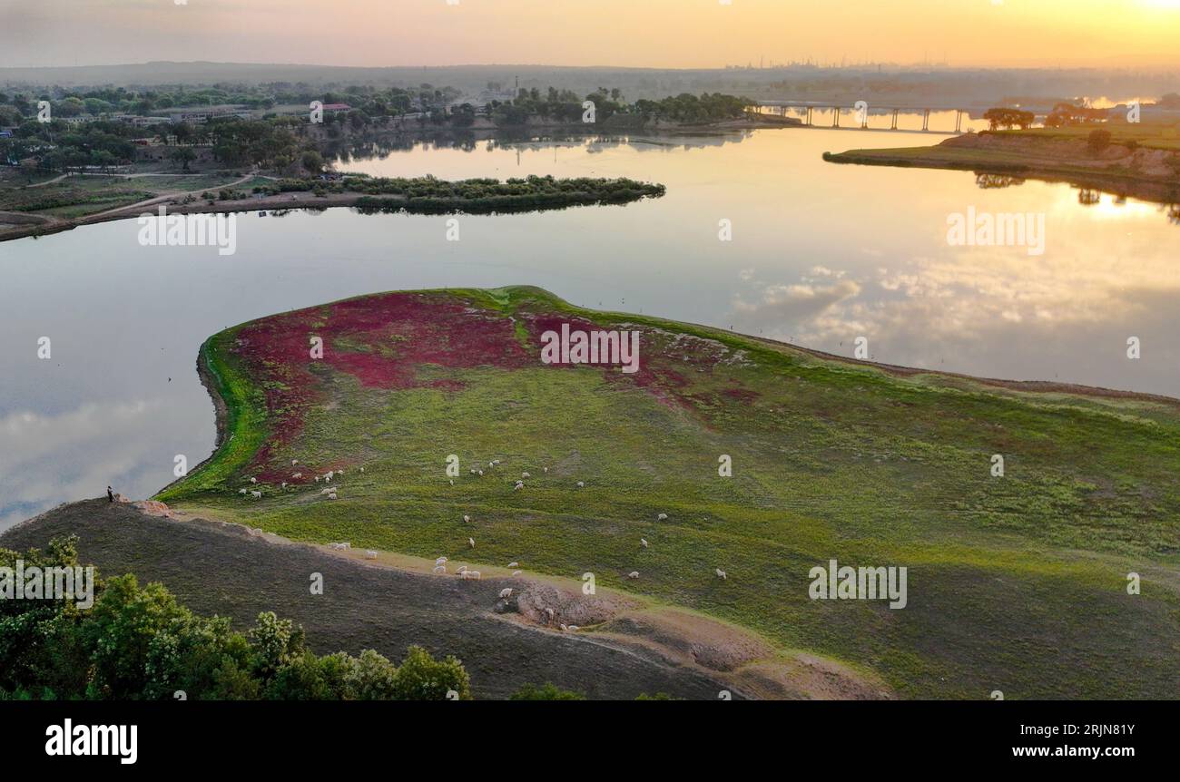 (230823) -- YULIN, Aug. 23, 2023 (Xinhua) -- This aerial photo taken on ...