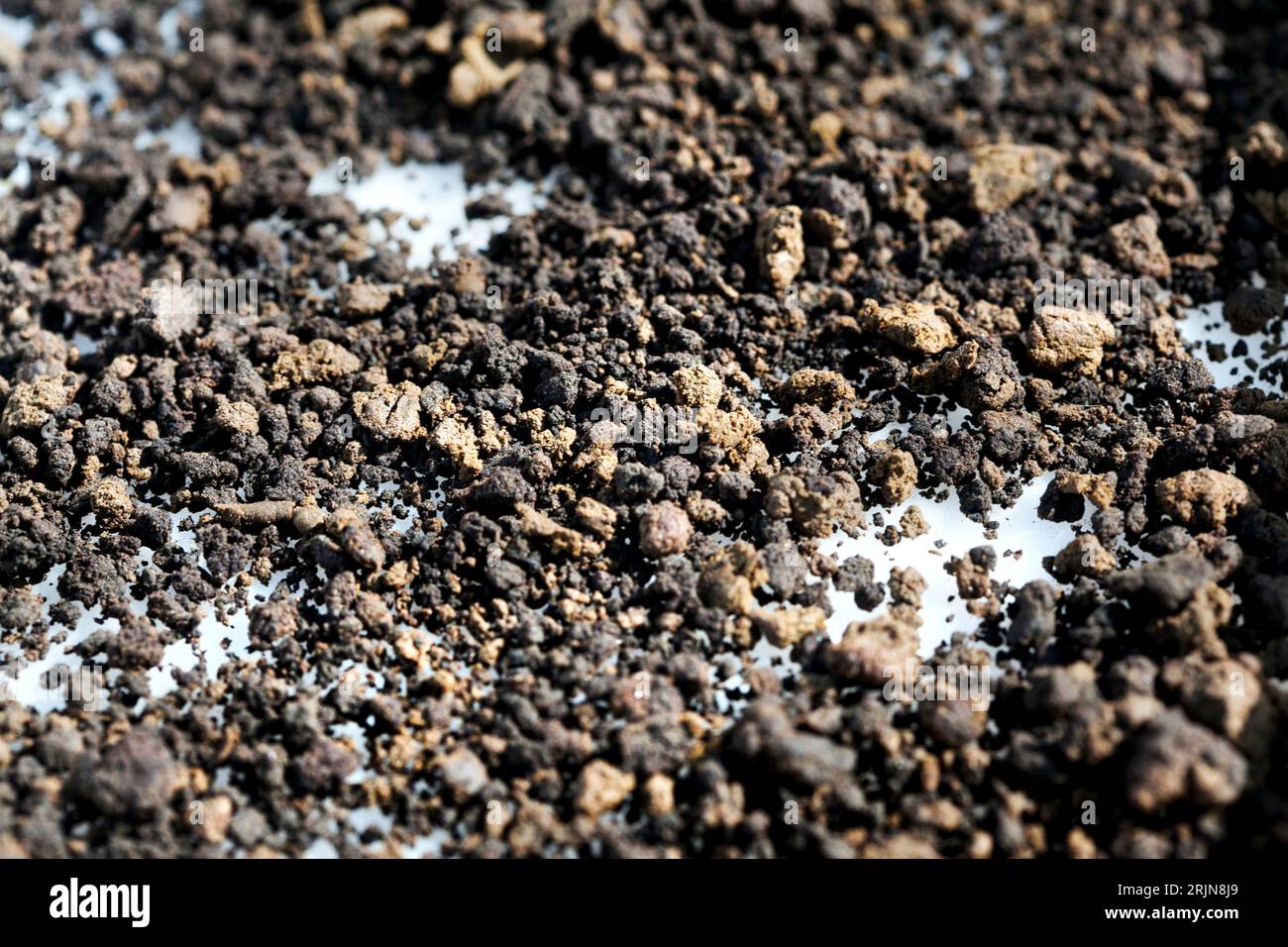 Be unpressed hi-res stock photography and images - Alamy