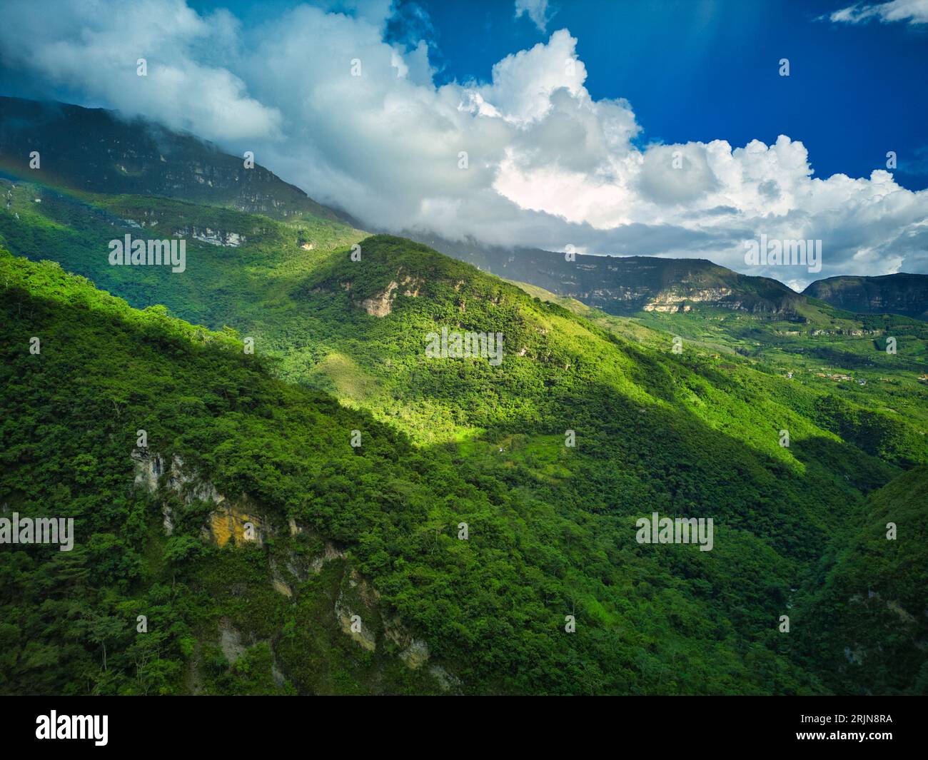 A scenic aerial view of a lush green mountain of the rainforest Andes ...