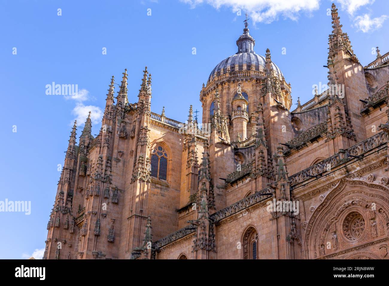 New Cathedral of Salamanca (Catedral Nueva) decorative facade with ...