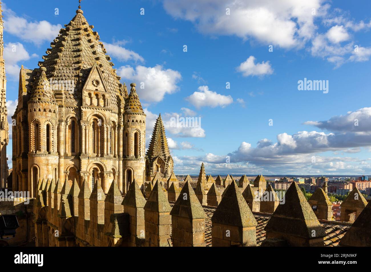 Catedral Vieja de Santa Maria de la Sede de Salamanca decorative towers ...