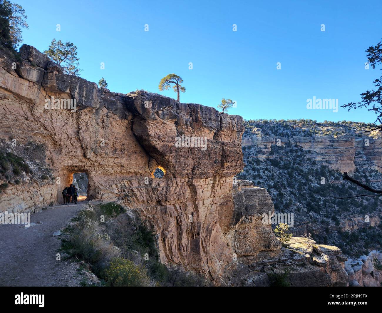 A group of people walking through a scenic tunnel-like path between two ...