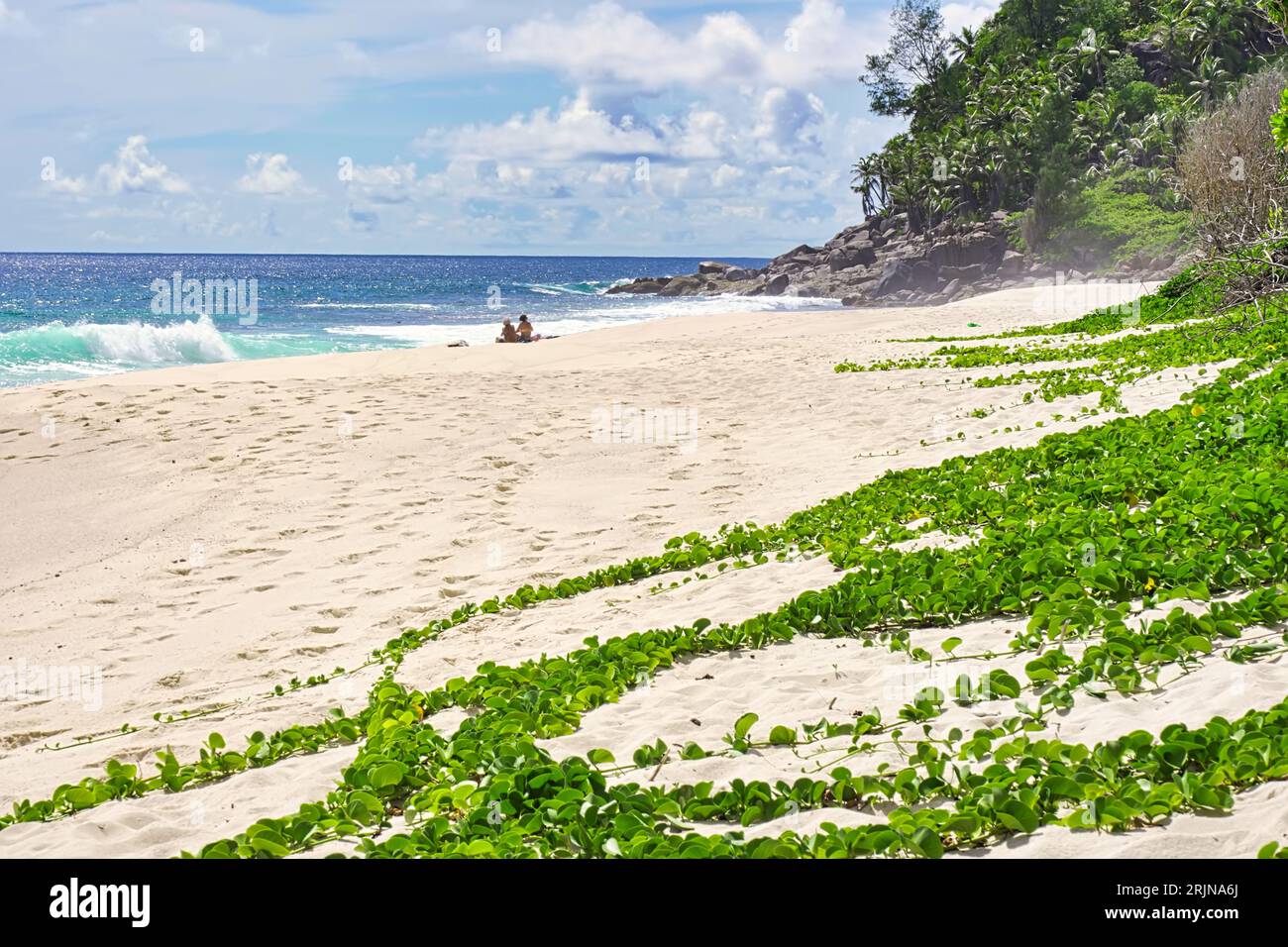 A stunning beachscape of Mahe Island in Seychelles featuring a pristine ...