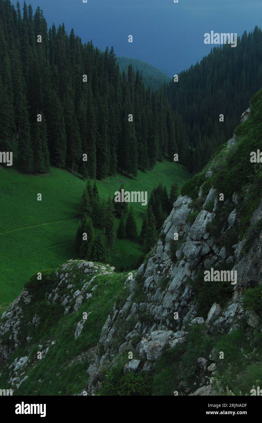 A picturesque landscape featuring a grassy hillside dotted with ...