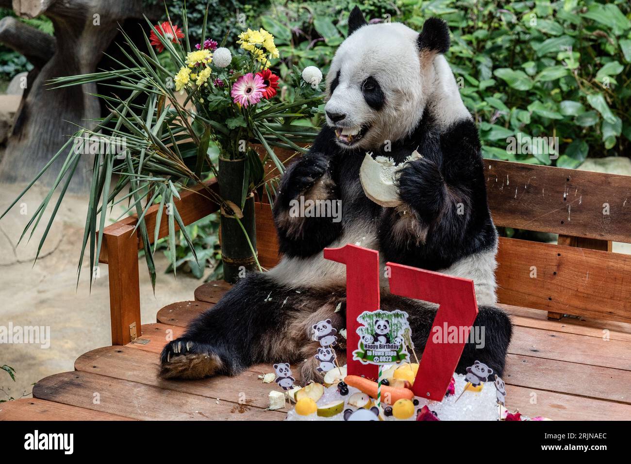 Kuala Lumpur, Kuala Lumpur, Malaysia. 23rd Aug, 2023. Giant female ...