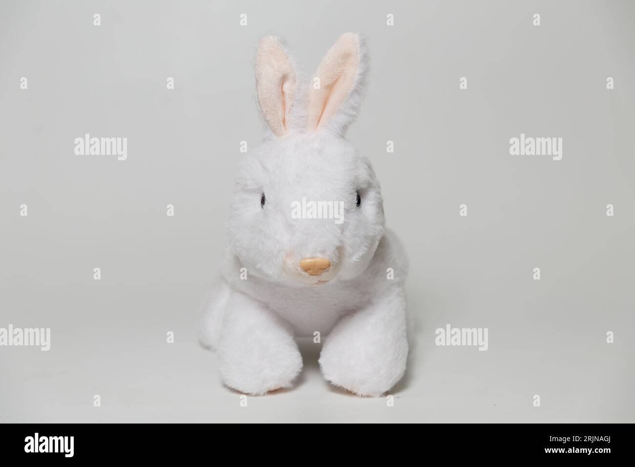 A closeup of a stuffed white rabbit toy on a white background Stock ...