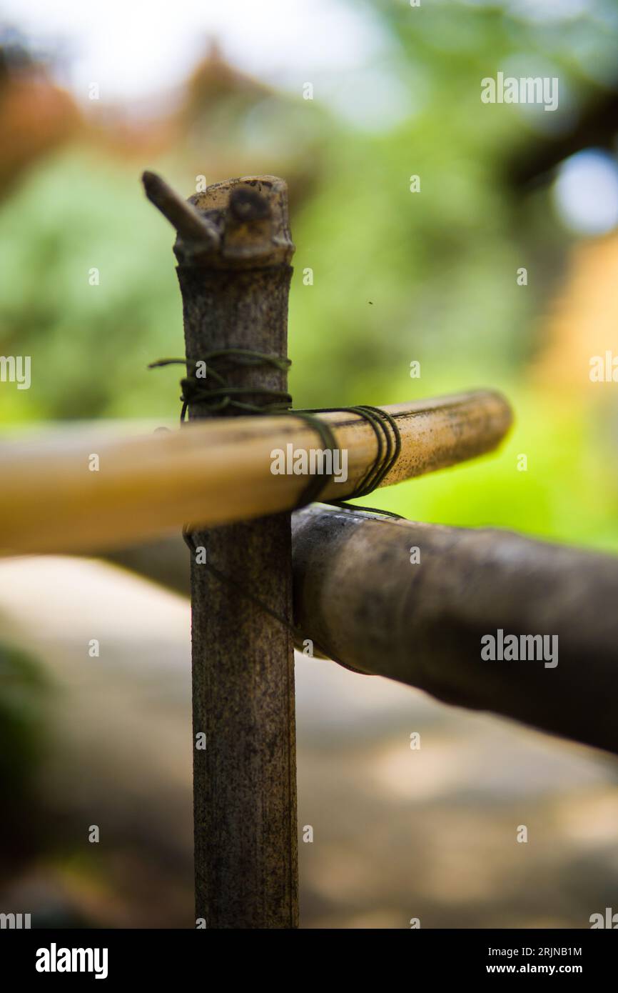 Jumble of sticks hi-res stock photography and images - Alamy
