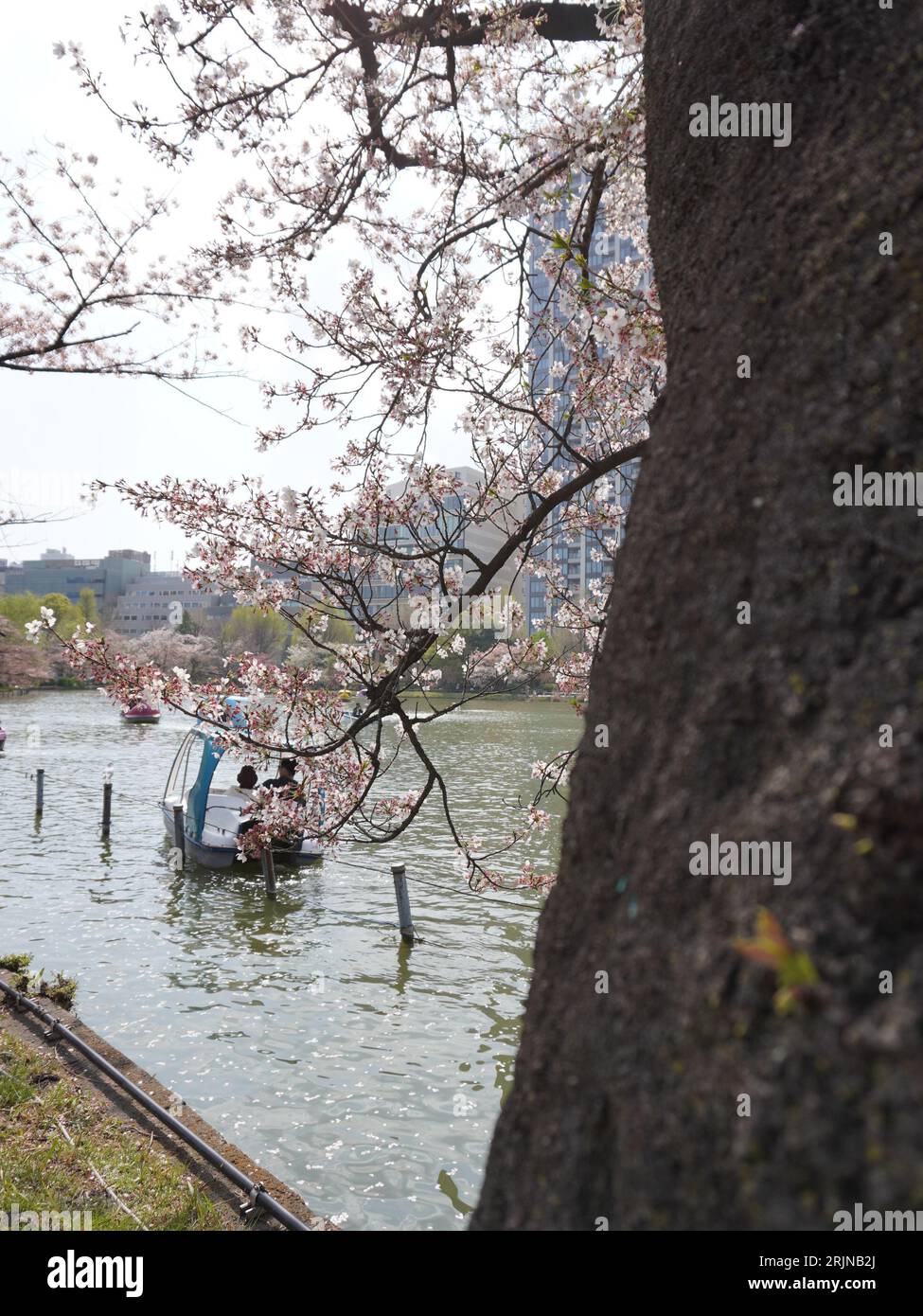 A diverse group of people enjoying a leisurely boat ride on a tranquil ...