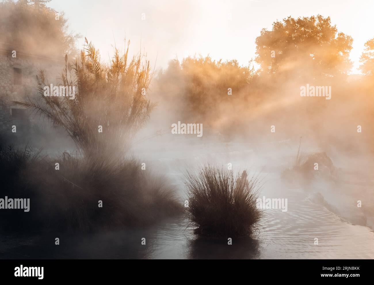 A tranquil outdoor scene featuring a pond surrounded by lush trees with ...