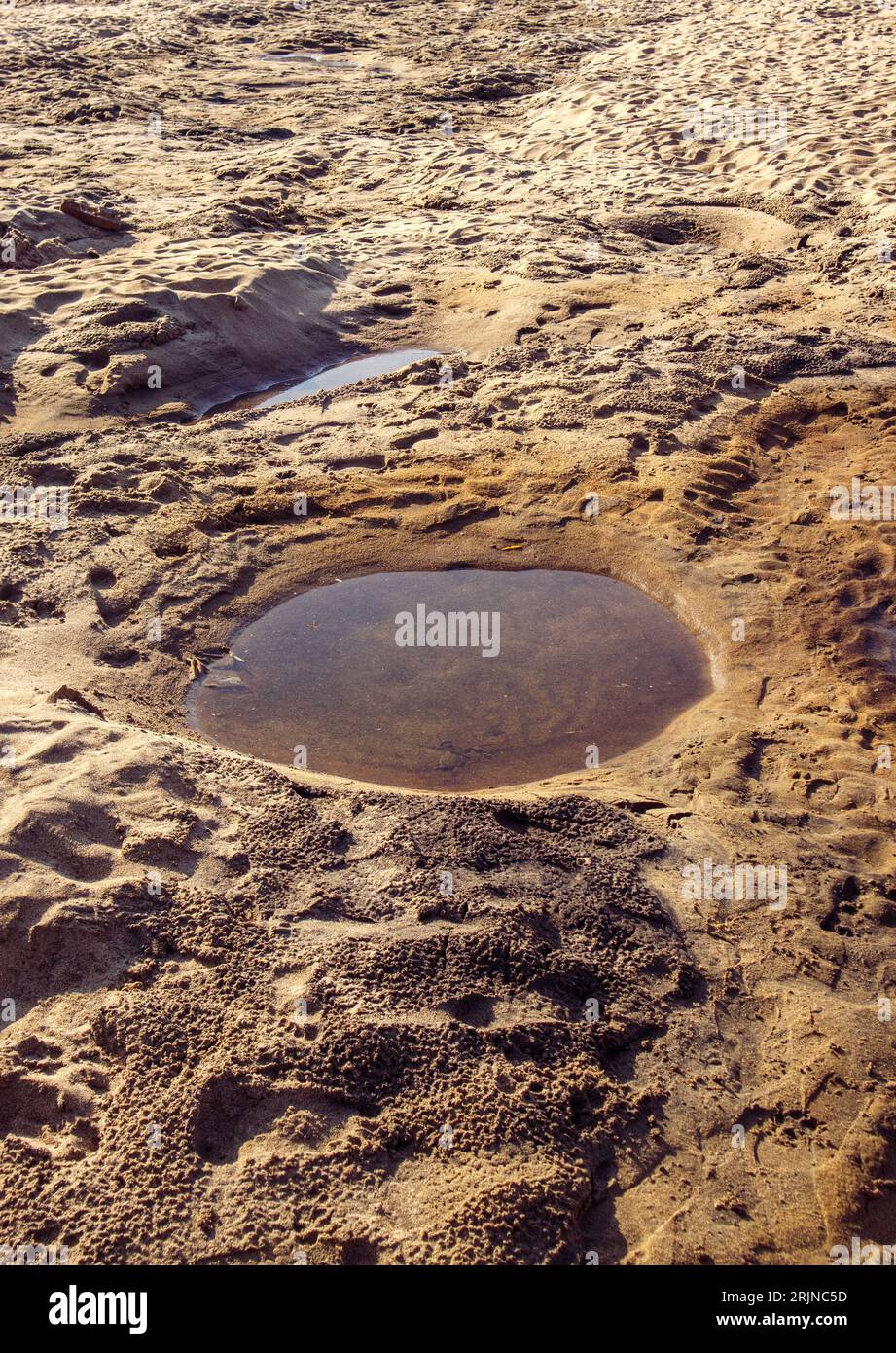 Water Puddle in a Sand Dune Background on a River Bank Stock Photo - Alamy