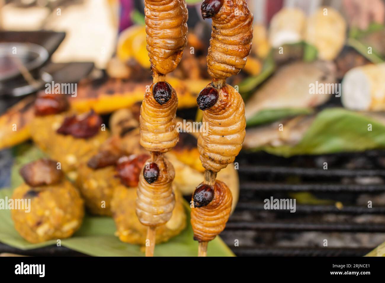 A closeup of Suri insects dish, traditional Peruvian food Stock Photo ...