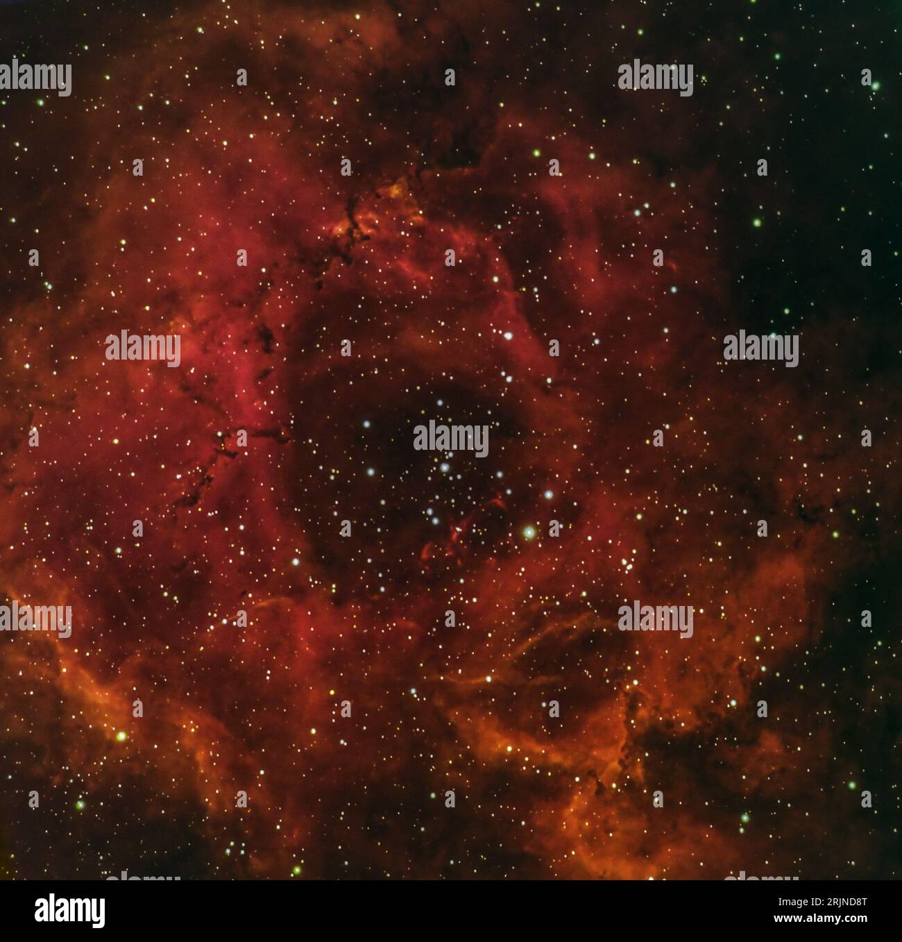 The Rosette Nebula, also known as Caldwell 49, is a large, spherical H ...