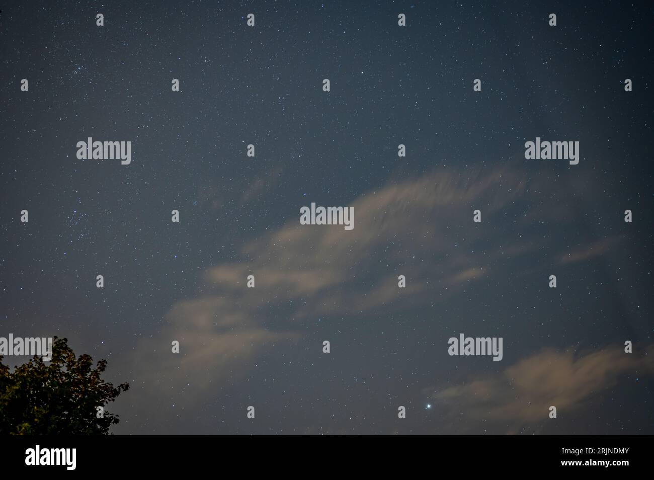 Stars at night. Stars and clouds in the sky with tree. Tranquility ...