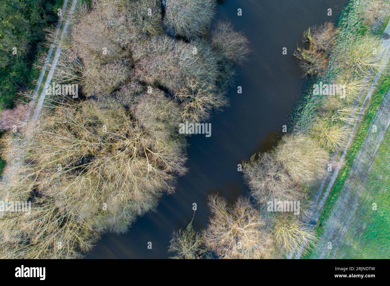 aerial view of a river in winter with the trees without leaves Stock ...