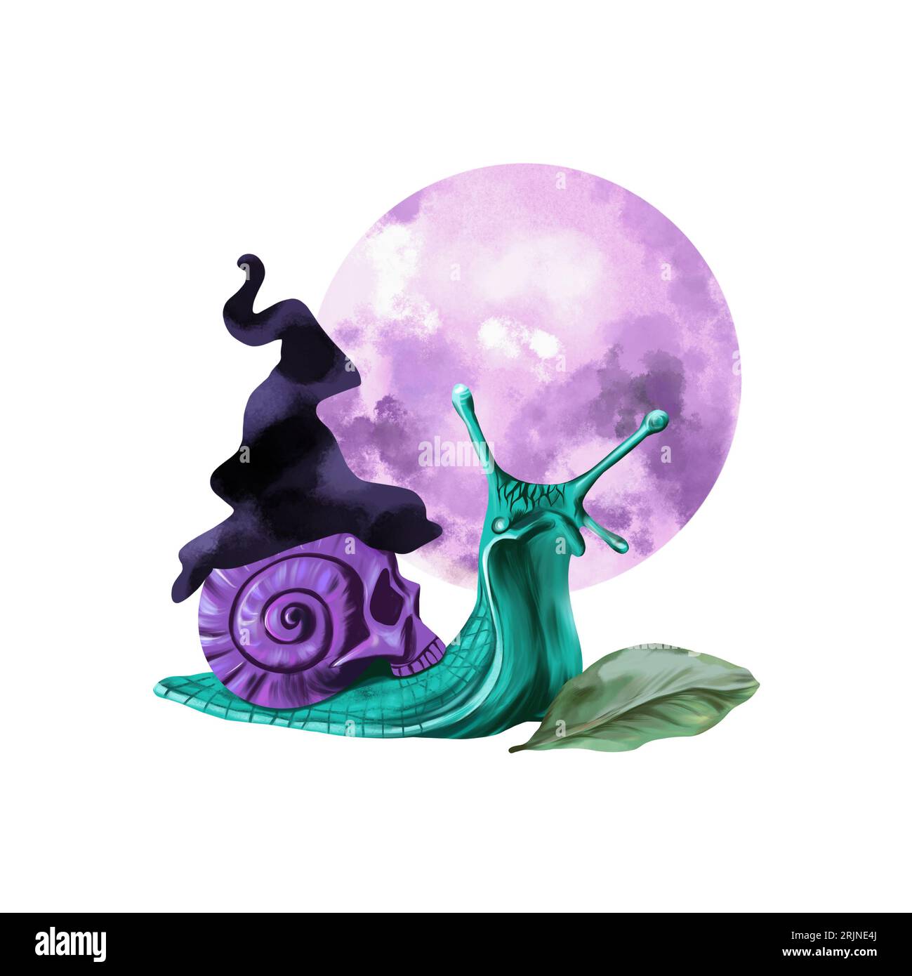 Mystical snail, witch hat, bay leaf, moon. Illustration for halloween ...
