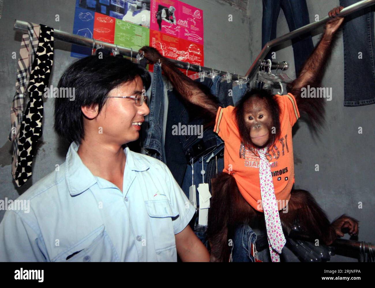 Affe shirt hi-res stock photography and images - Alamy