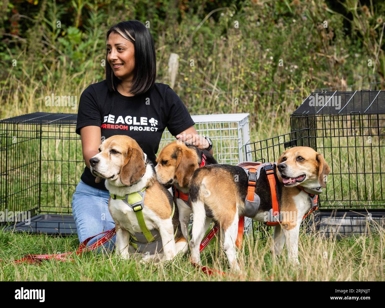 EDITORIAL USE ONLY Pam Ghatoray with some of the seven beagles rescued ...