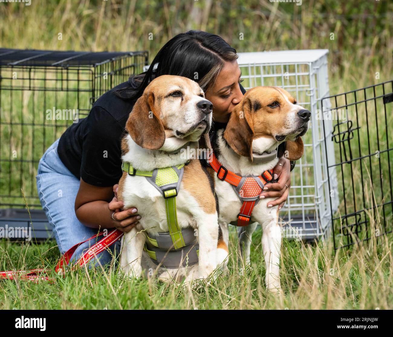 EDITORIAL USE ONLY Pam Ghatoray with some of the seven beagles rescued ...